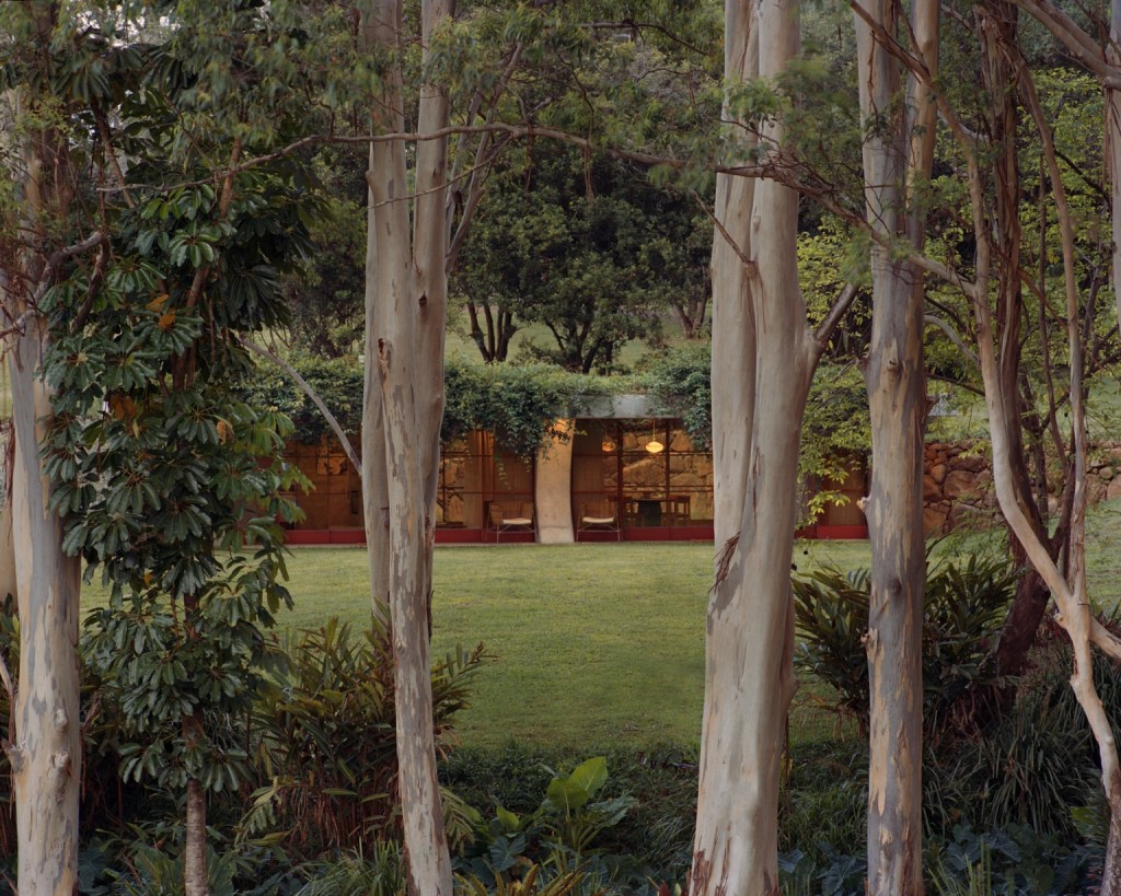 This Ground House Is a Human Asset Buried in Nature’s Love